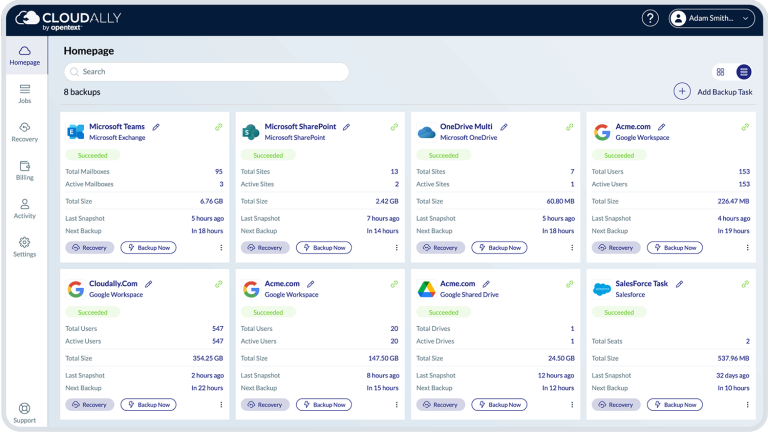 CloudAlly - Cyber Distribution